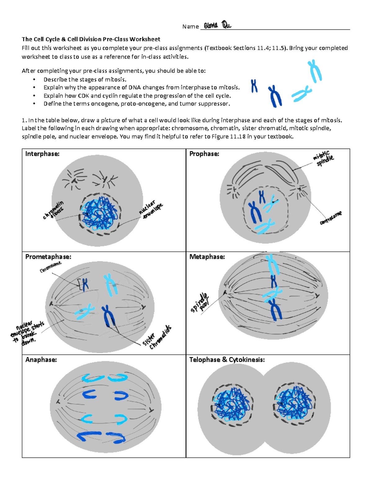 Week 10b Pre-Class Reading Guide - Understanding Cell Cycle & Division ...