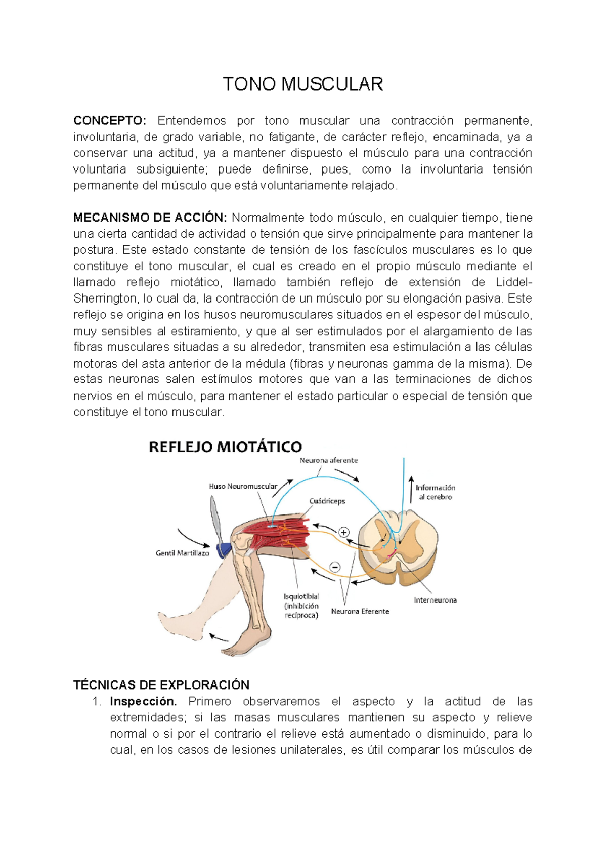 TONO MUSCULAR - Resumen de Propedéutica Clínica y Semiología Médica ...