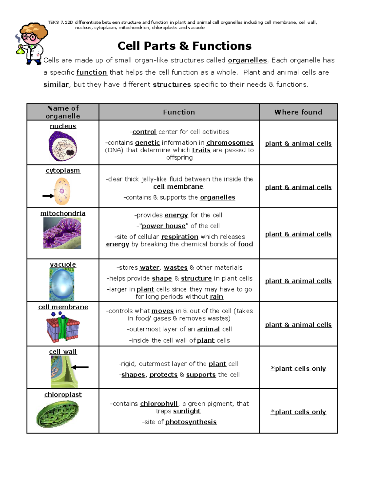Cell parts and functions - Cell Parts & Functions Cells are made up of ...
