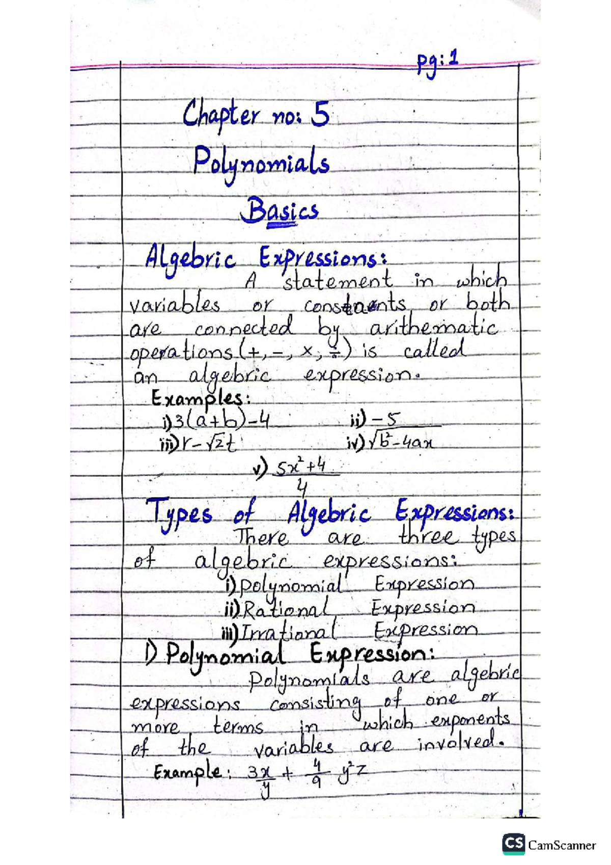 CS 101: Chapter 5 - Basics of Polynomials and Algebraic Expressions ...