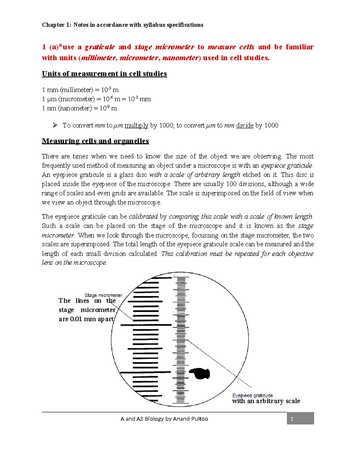 A and AS Biology: Chapter 1 - Cell Measurement and Structure Notes ...