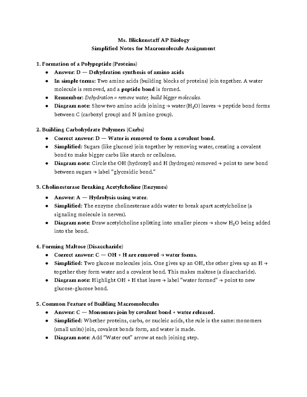 AP Biology: Simplified Notes on Macromolecular Reactions (Assignment 1 ...