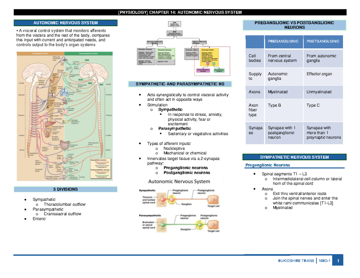 BUKIDSHIRE TRANS 2 LECTURE 13: AUTONOMIC NERVOUS SYSTEM OVERVIEW - Studocu