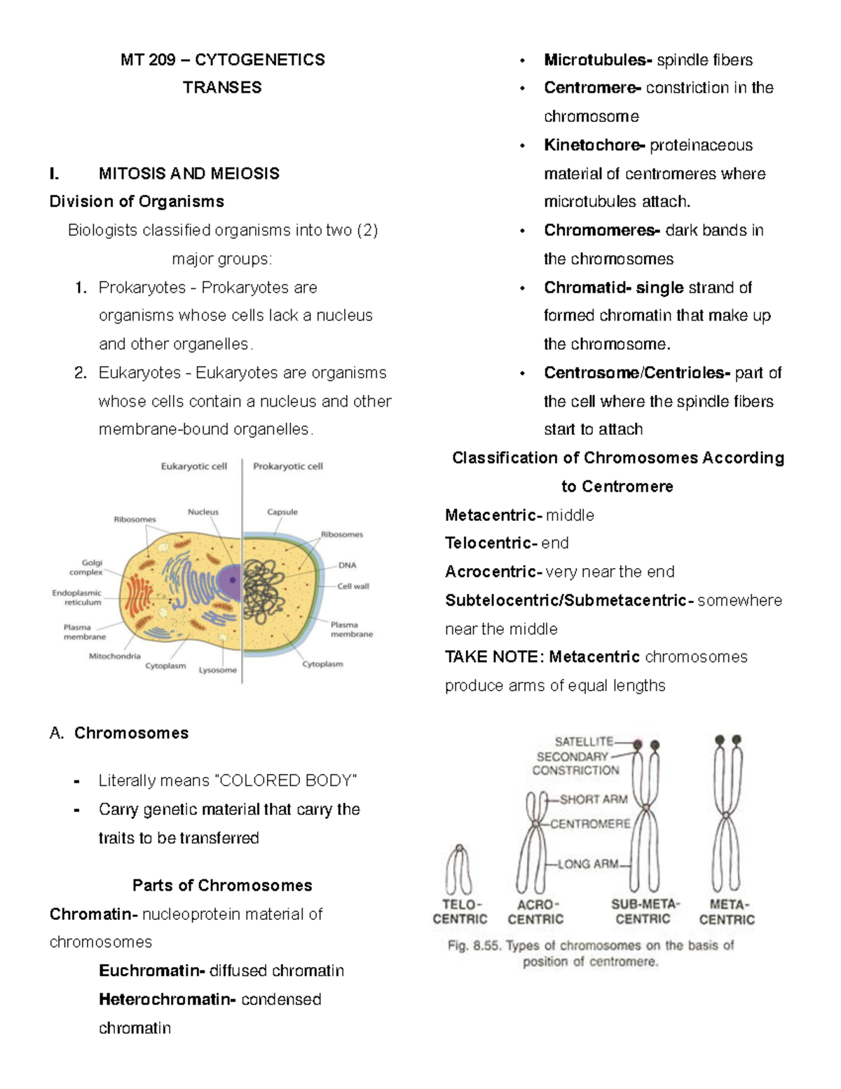 MT 209 CYTOGENETICS: Mitosis and Meiosis Overview - Studocu