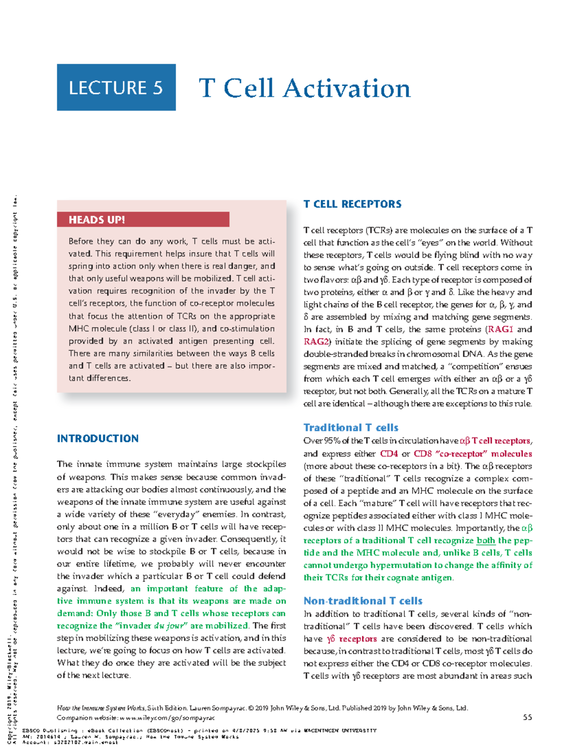 LECTURE 5 - T Cell Activation: Understanding T Cell Receptors and Their ...