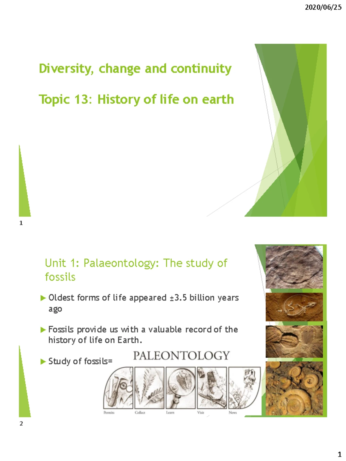 Gr10 Topic 13 history of life on earth CC - Diversity, change and ...