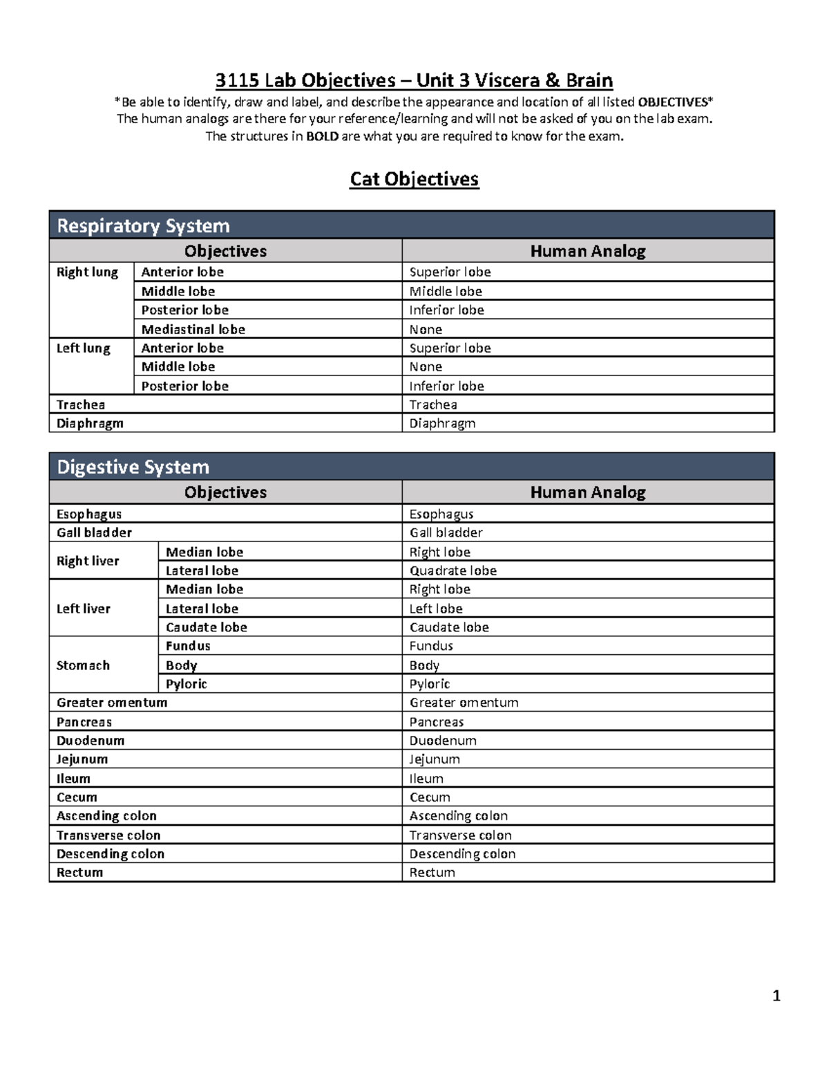 3115 Lab Unit 3 Objectives: Viscera & Brain Structures - Studocu