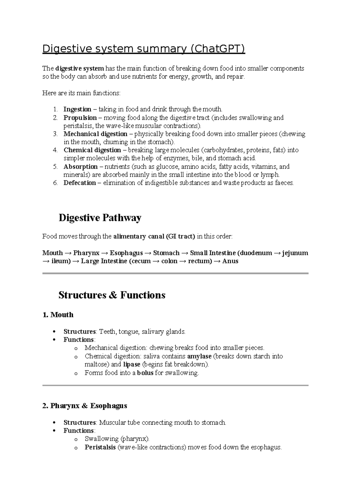 Digestive System Overview: Key Functions and Pathway - Studocu