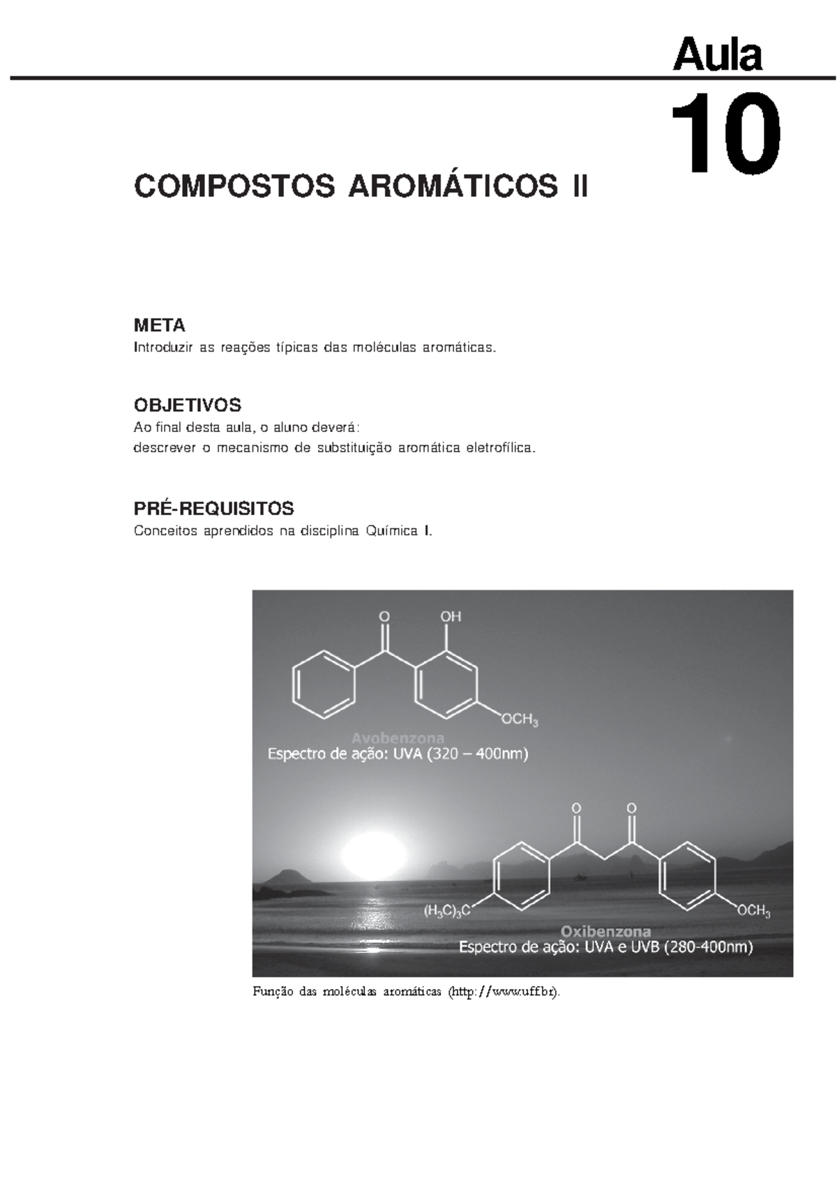 10003802042012 Química Orgânica I - Aula 10: Compostos Aromáticos II ...