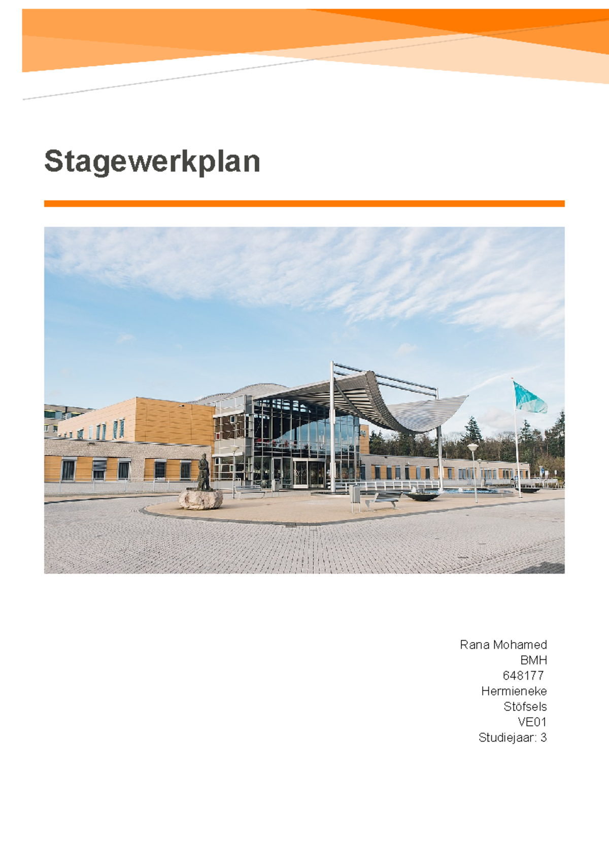 Stagewerkplan Zorgstage BMH 648177 - Persoonlijke Leerdoelen ...