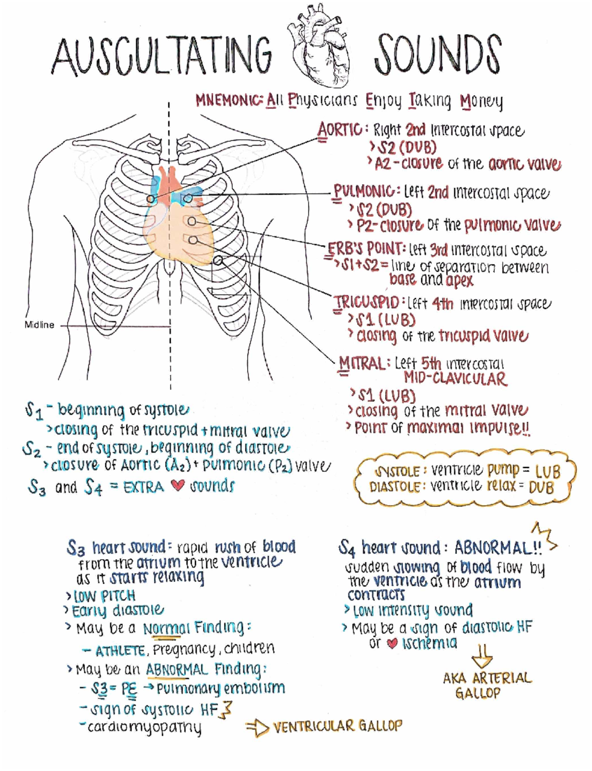 AUSCULTATION OF HEART SOUNDS: Mnemonic & Key Concepts Overview - Studocu