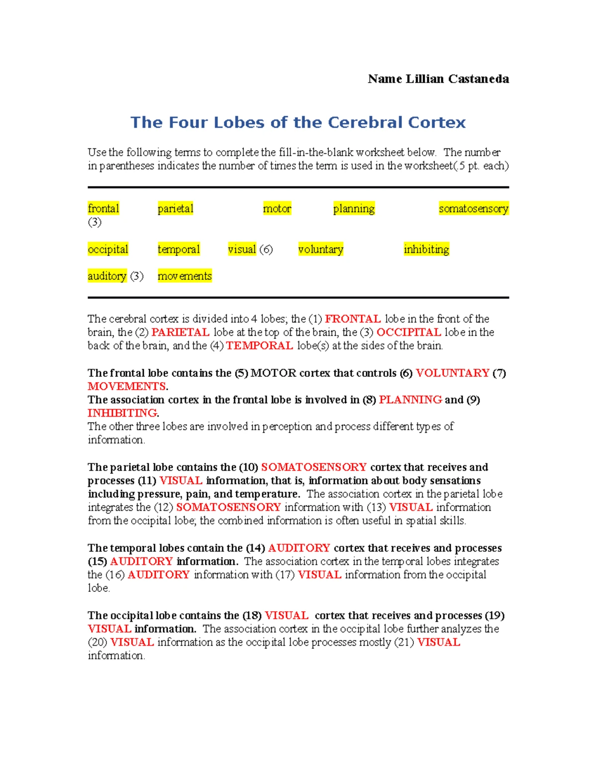 2 The Four Lobes - Name ________________________ The Four Lobes of the ...