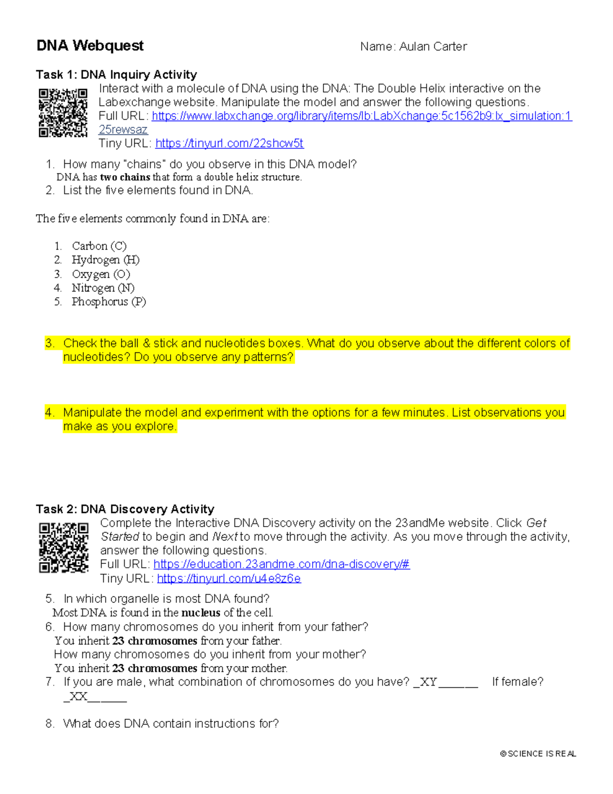DNA Webquest Activities Overview for Understanding DNA Structure - Studocu