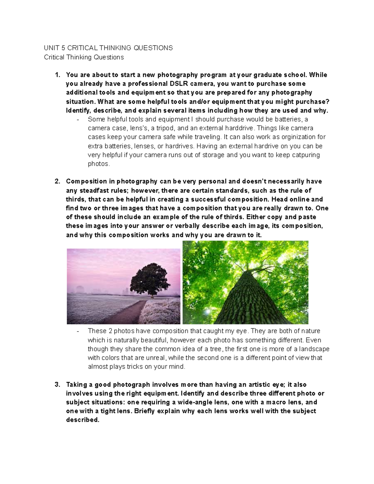 UNIT 5 Photography Critical Thinking Questions and Insights - Studocu