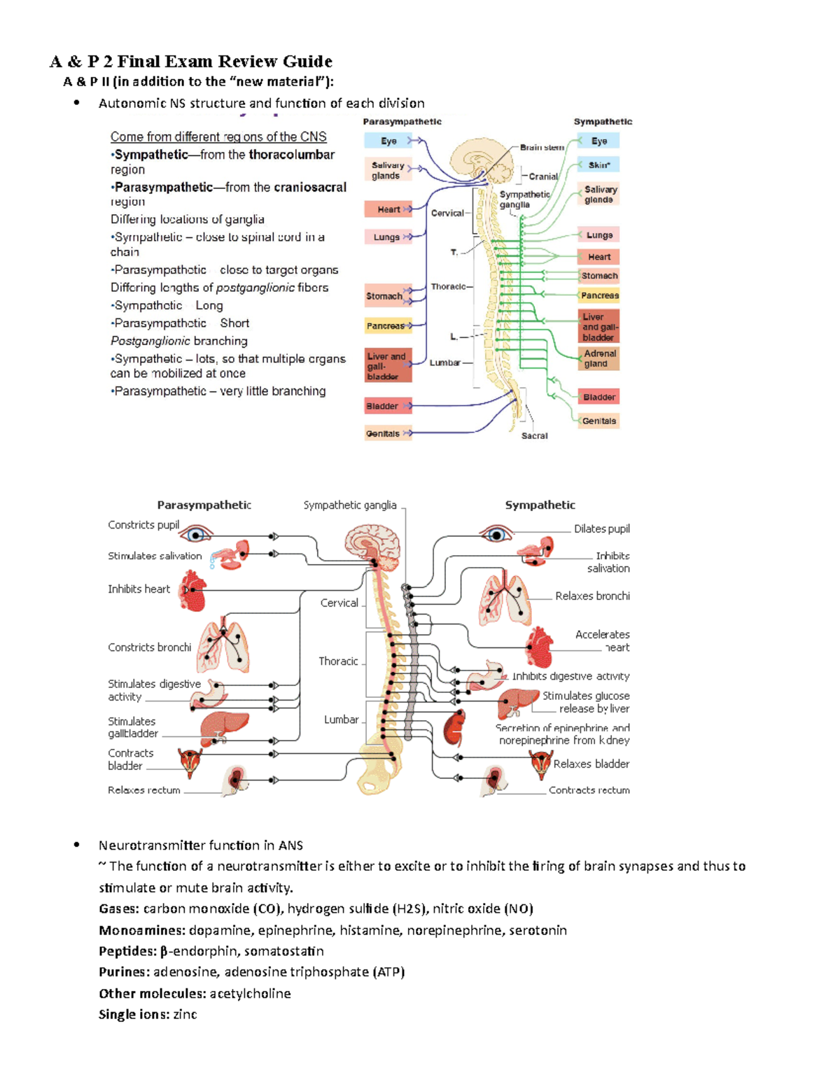 Anat lec final reveiw - A & P II (in addition to the “new material ...