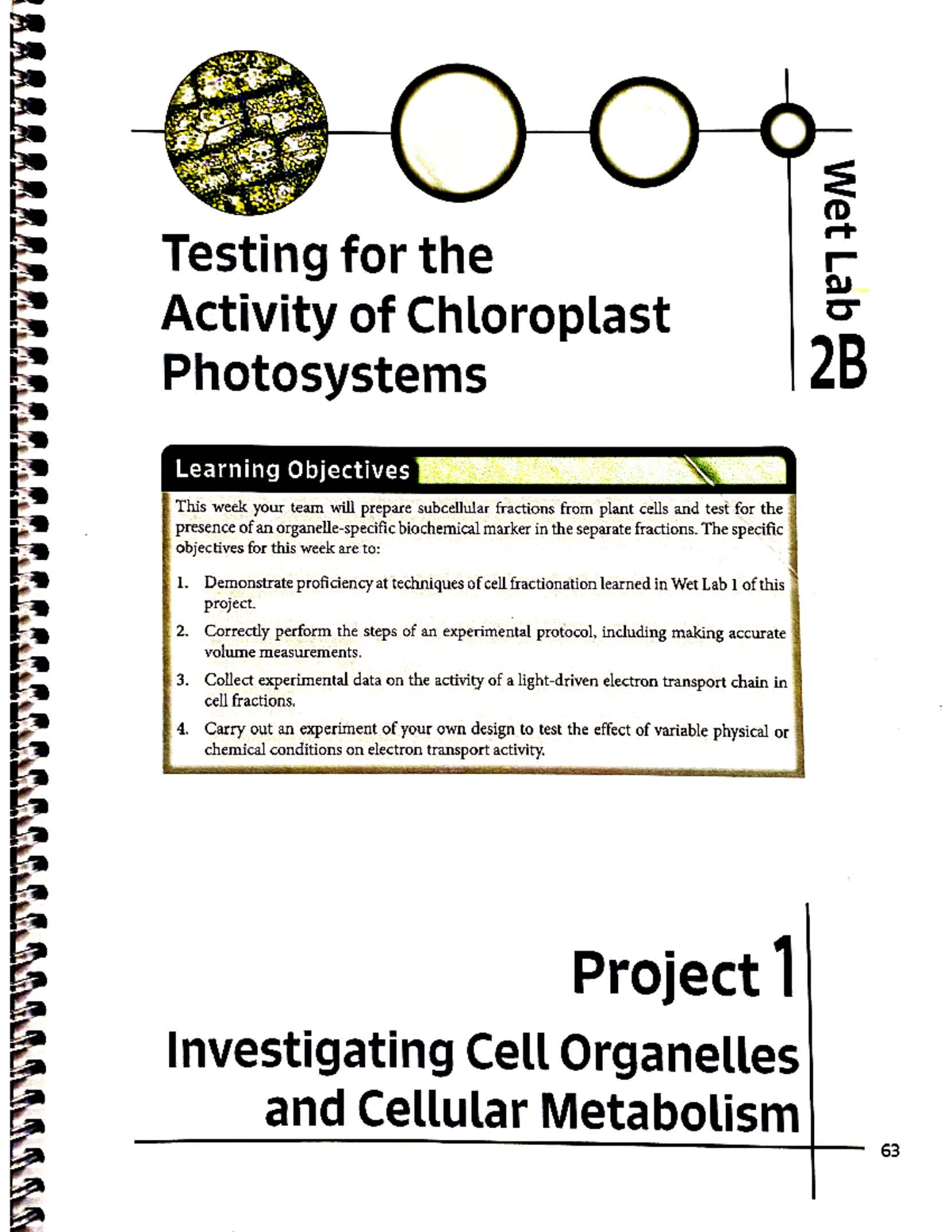 Wet Lab Number 2B - Testing for the Activity of Chloroplast ...