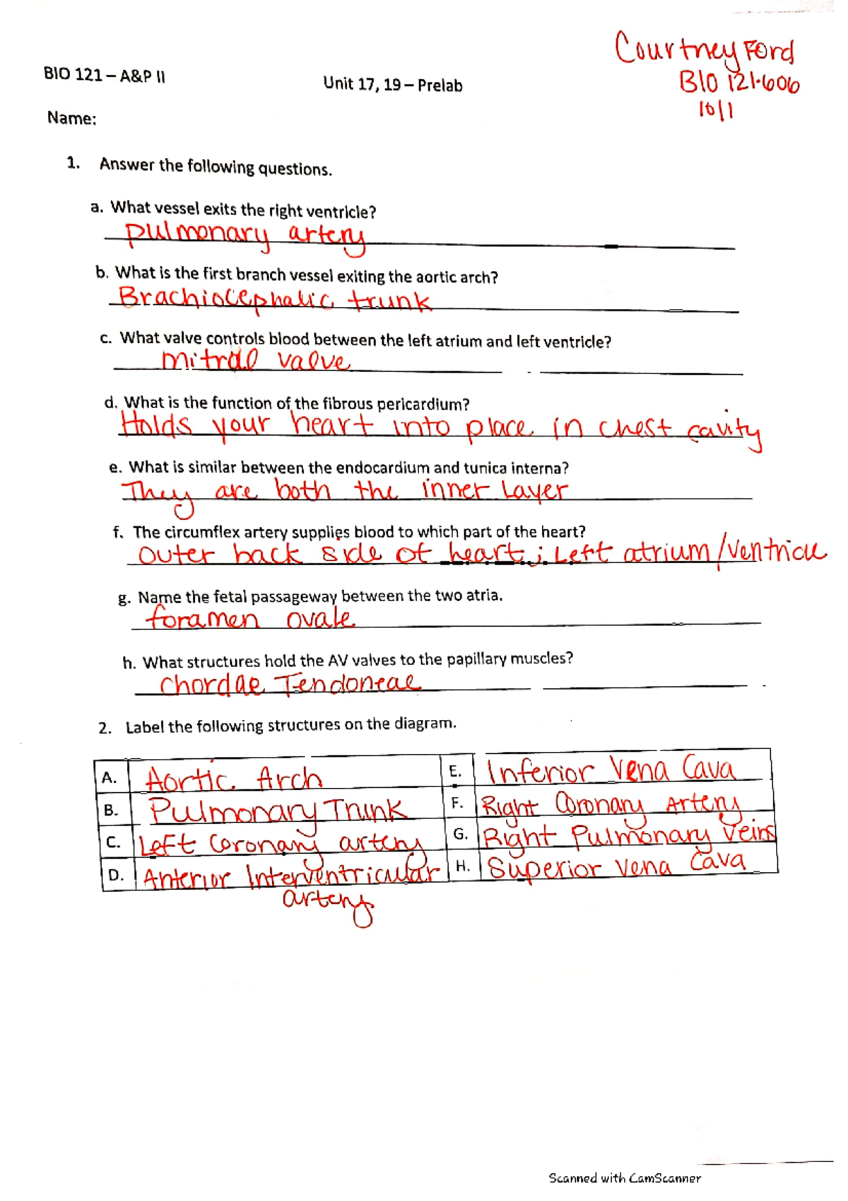 Prelab 10 1 - Lab - Studocu