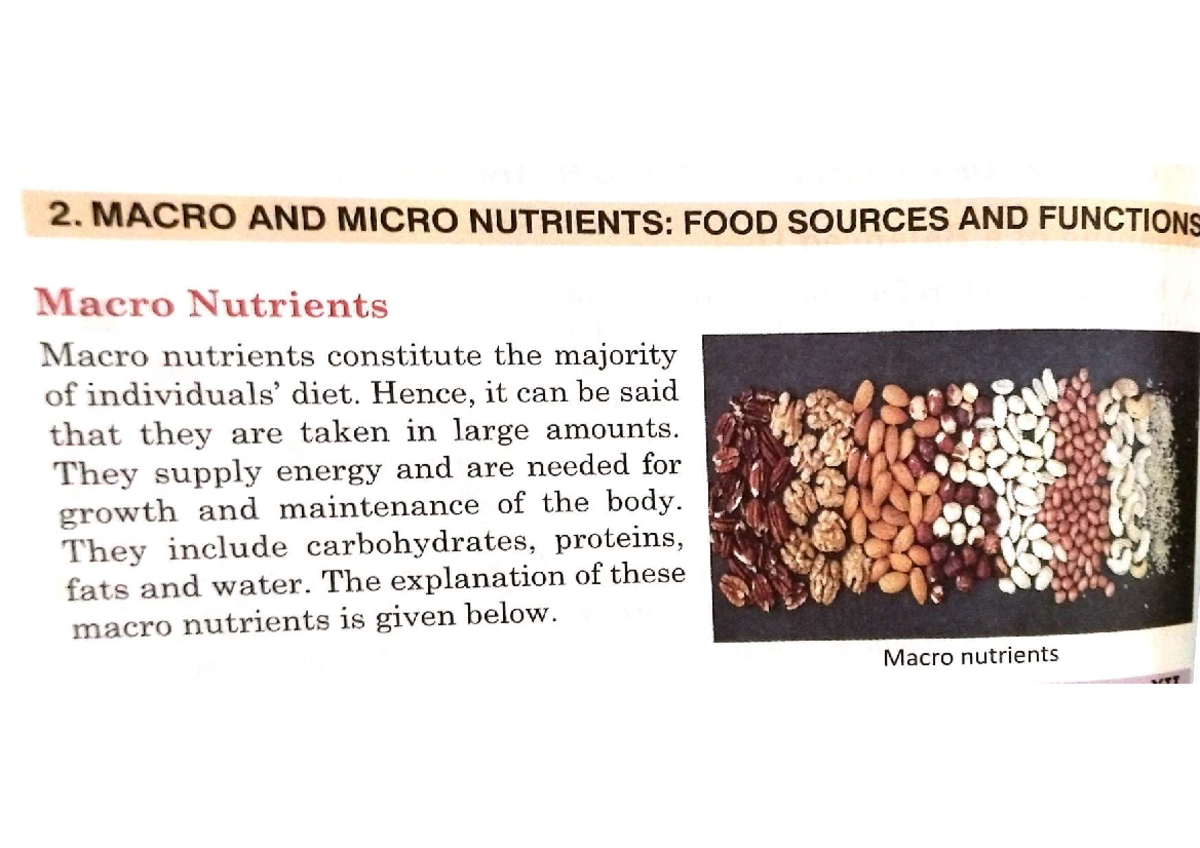 Macro and Micro Nutrients of Diet: Sources and Functions Explained ...