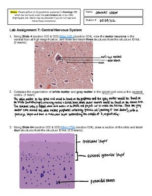 Lab 12 assignment FW24-25 - Name: Student #: Lab Assignment 12 ...