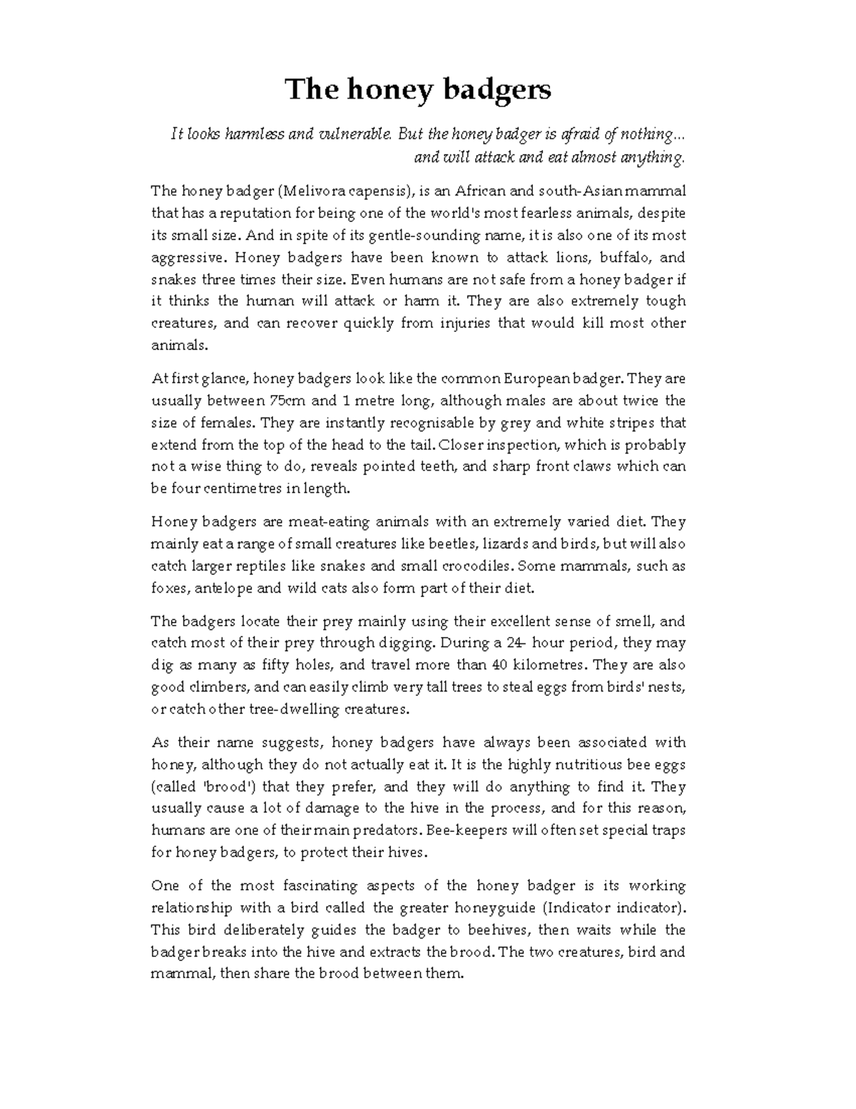 Honey Badgers: An In-depth Reading Passage Analysis - Studocu