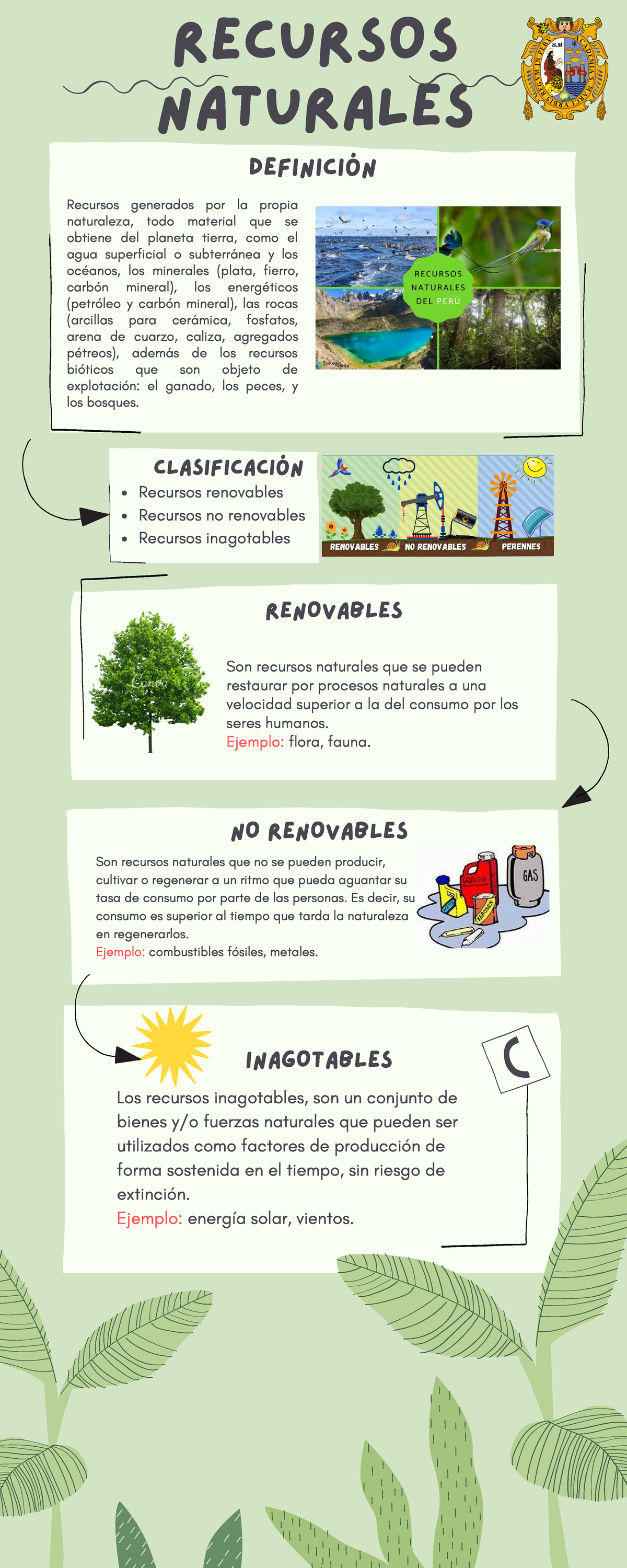 Recursos Naturales Renovables Y No Renovables Ejemplos Recursos