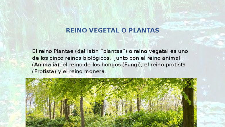 Reino Vegetal: Características y Clasificación de Plantas - Studocu