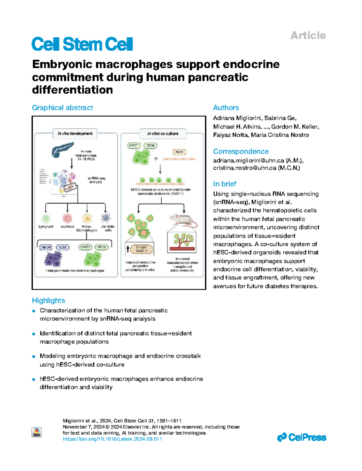 Embryonic Macrophages Enhance Endocrine Differentiation in Human ...