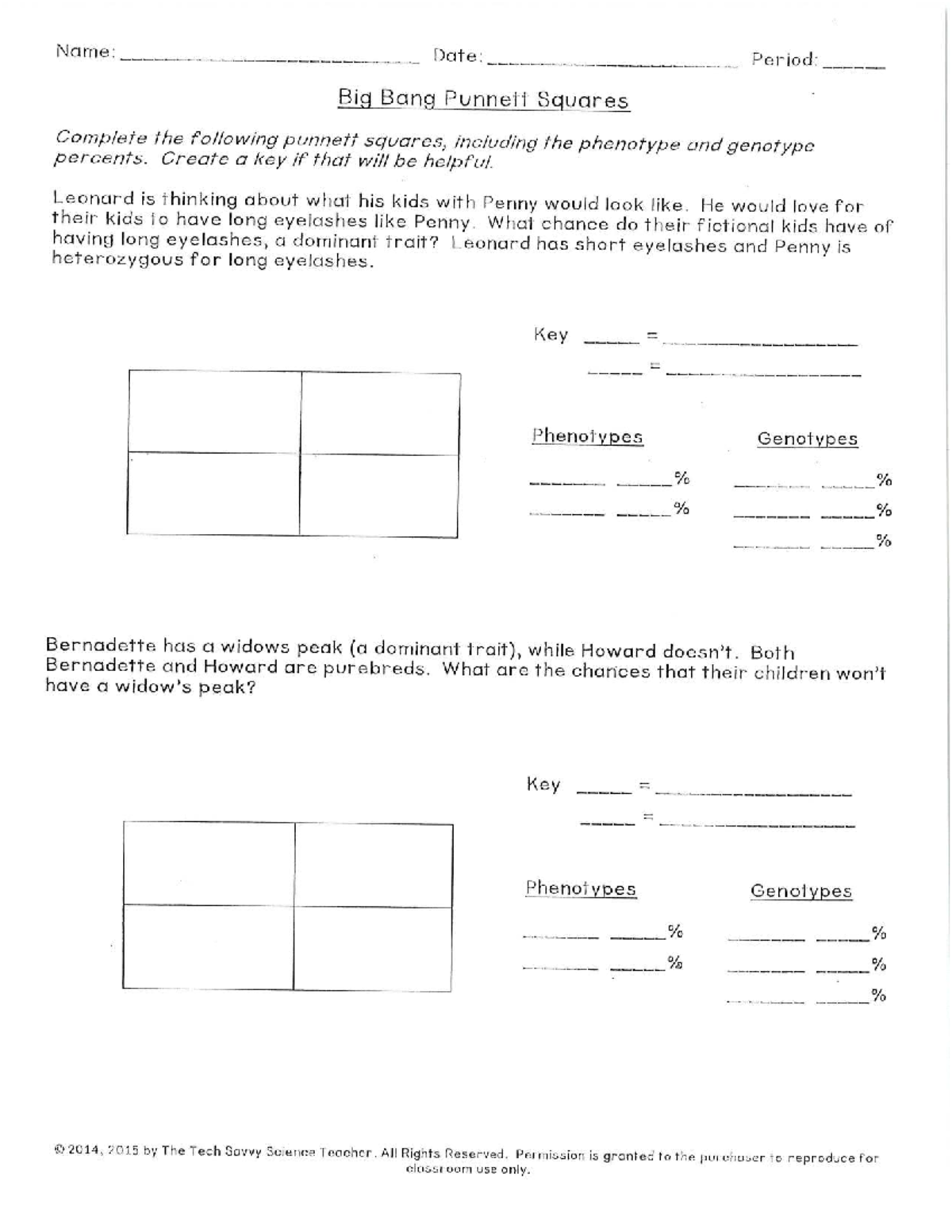 Big Bang Theory Genetics: Punnett Squares Analysis - Studocu