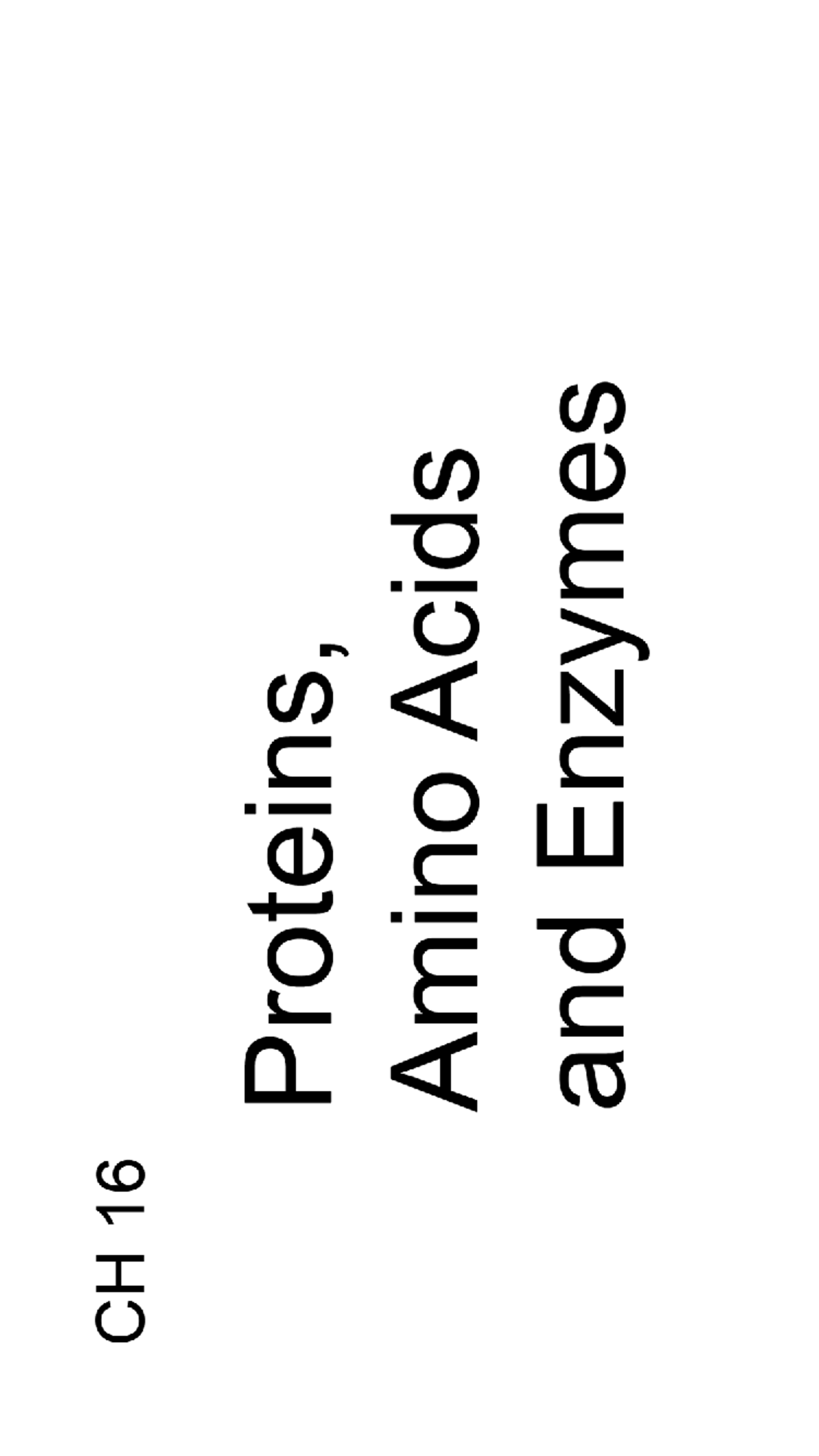 Proteins, Amino Acids, and Enzymes: Chapter 16 Overview and Insights ...