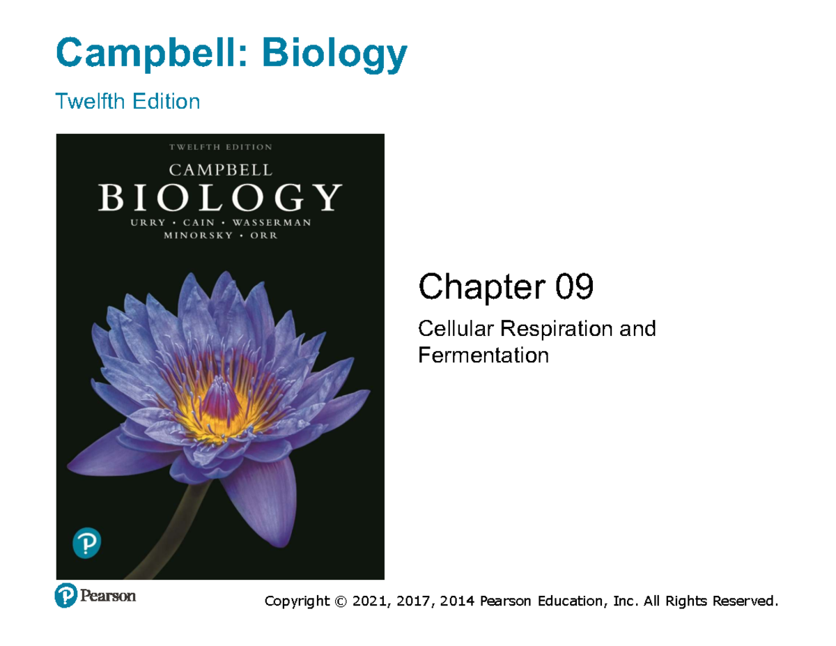 Biology 12 Final Exam Study Notes: Overview of Cellular Respiration ...