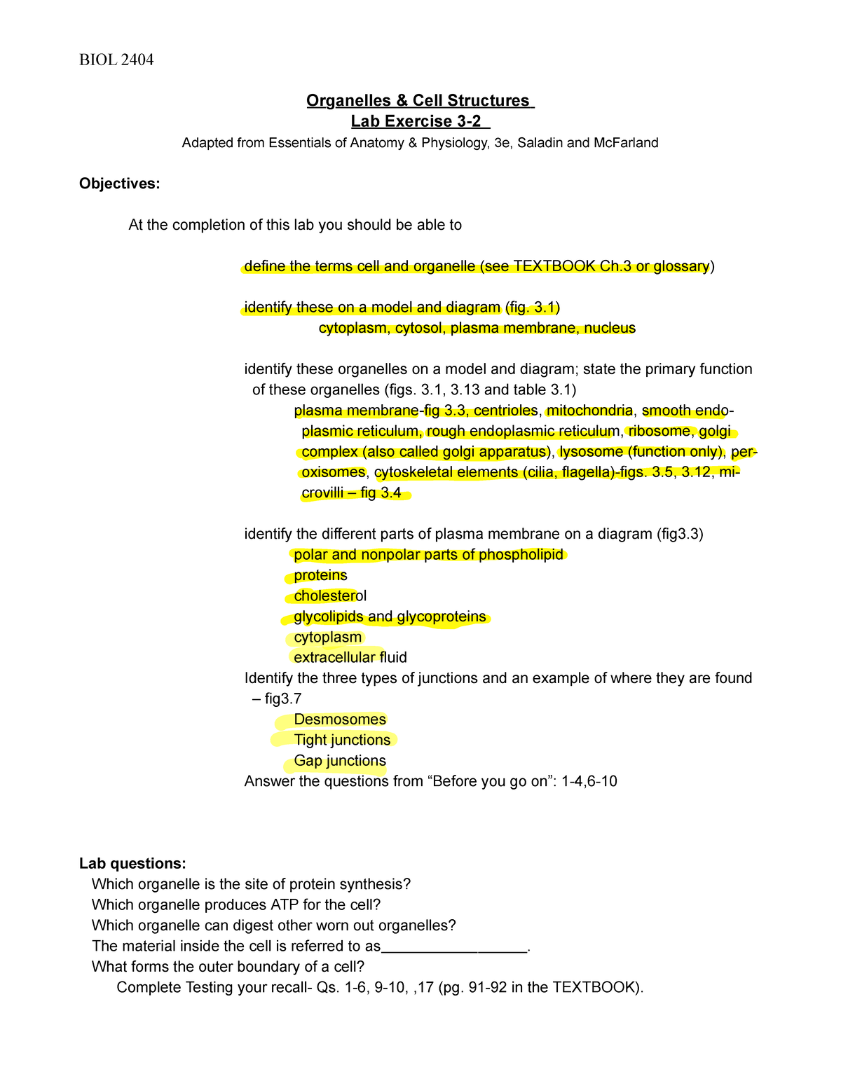 BIOL 2404 Lab Exercise: Overview of Organelles & Cell Structures - Studocu