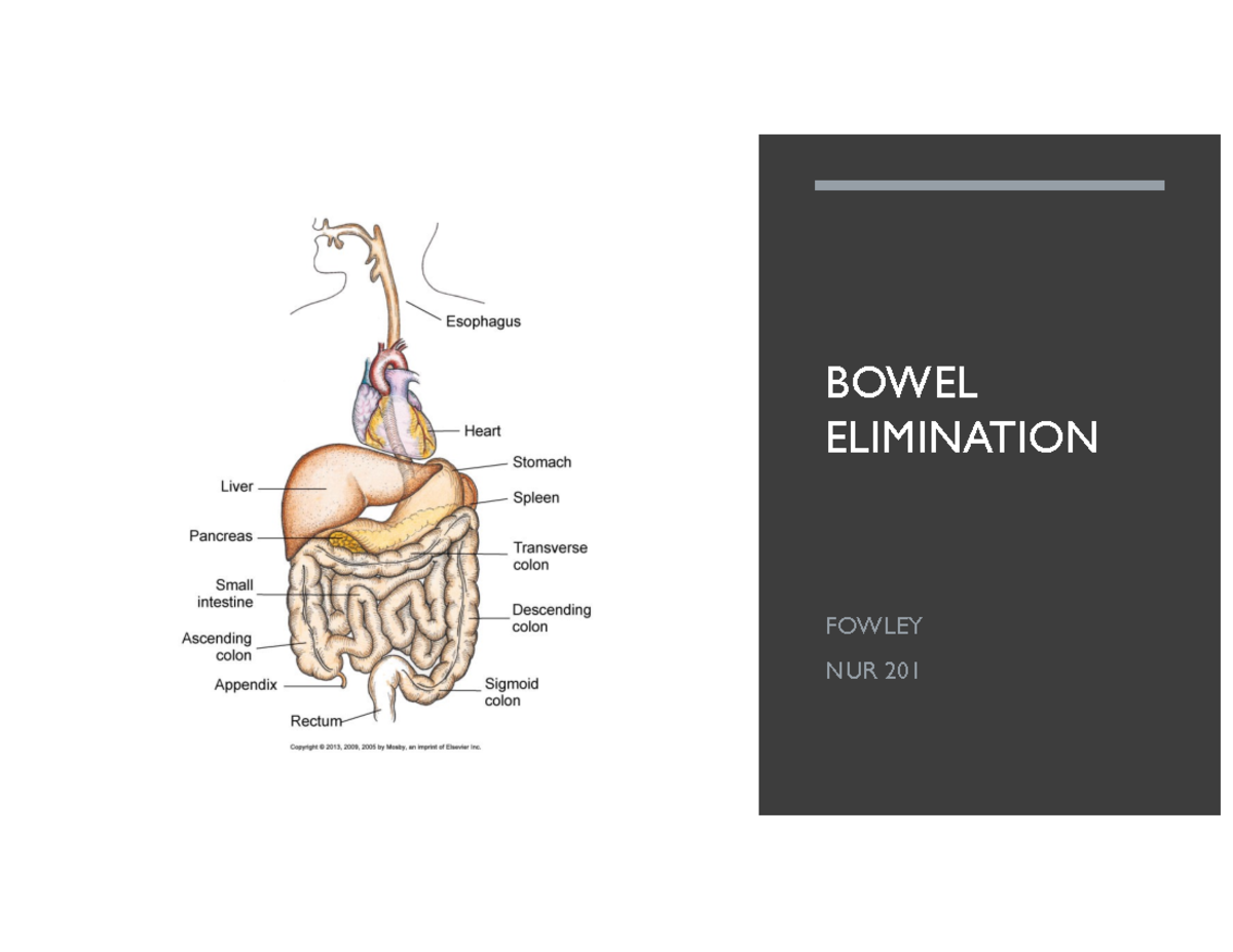 Nursing Care Goals for Bowel Elimination in NUR 201: Key Insights and ...