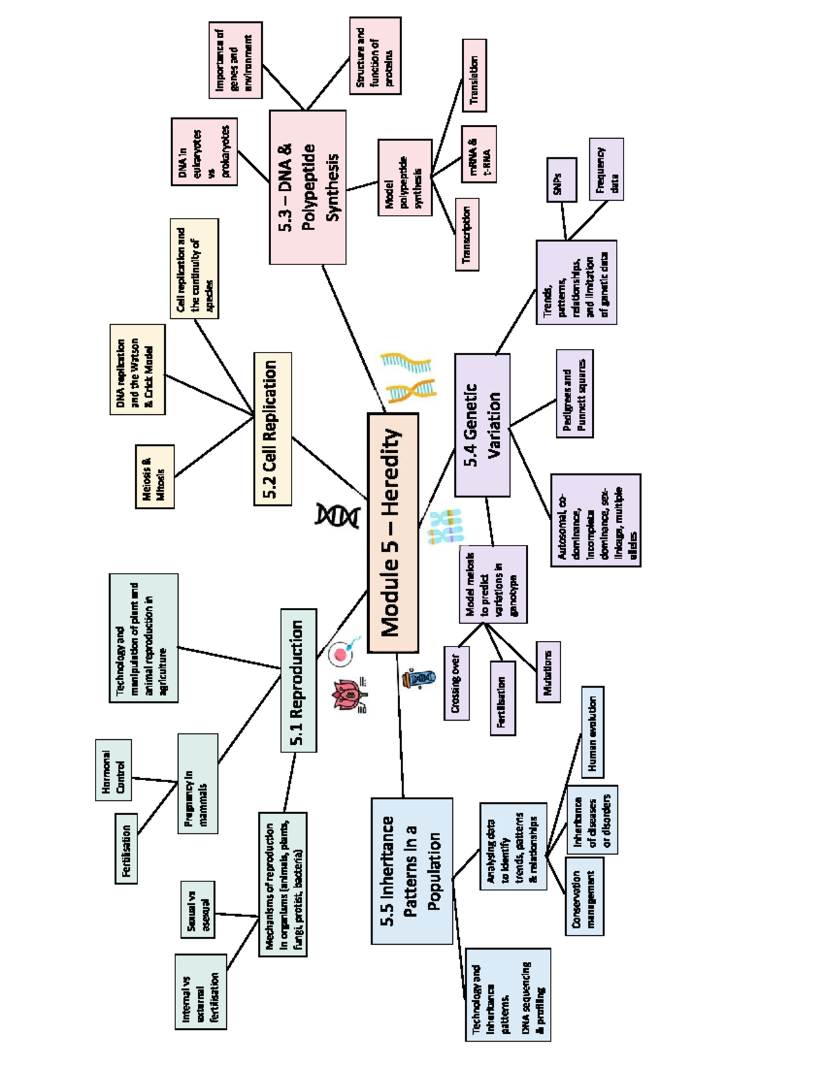 Biology - Module 5: Heredity Mind Map on Reproduction & DNA Replication ...