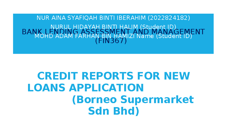 FIN367 Case Study: Assessment & Management of Bank Lending for Borneo ...
