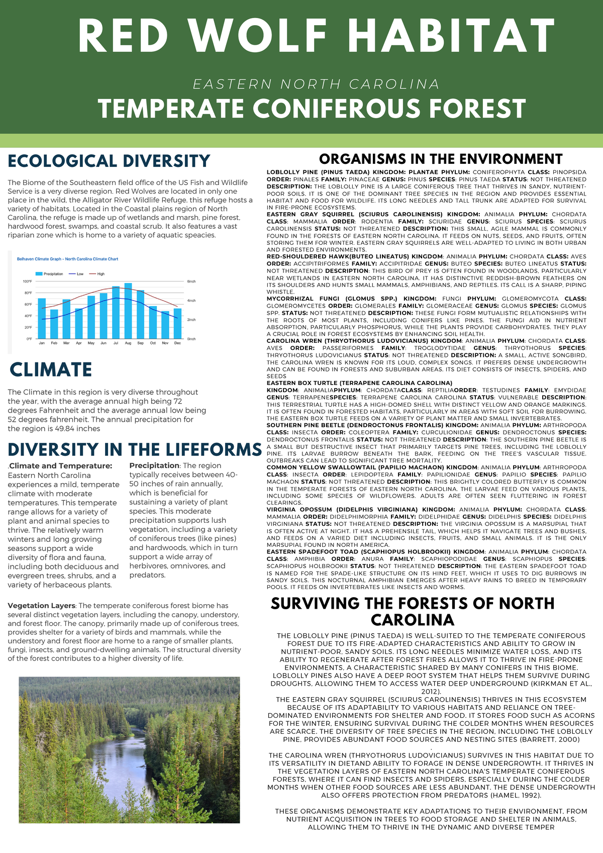 Red wolf diversity poster - R E D W O L F H A B I T A T E A S T E R N N ...