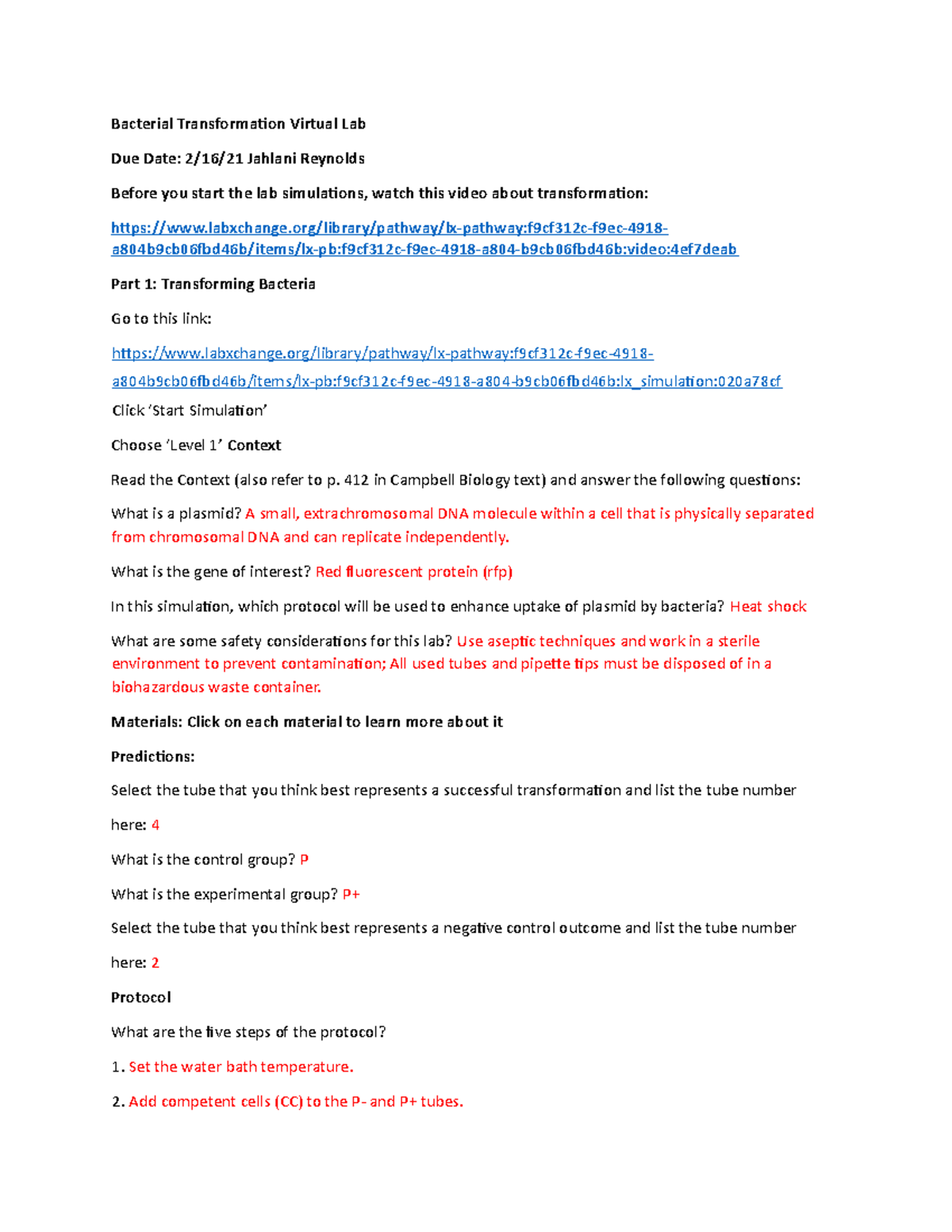 Bacterial Transformation Virtual Lab Guide: Step-by-Step Instructions ...