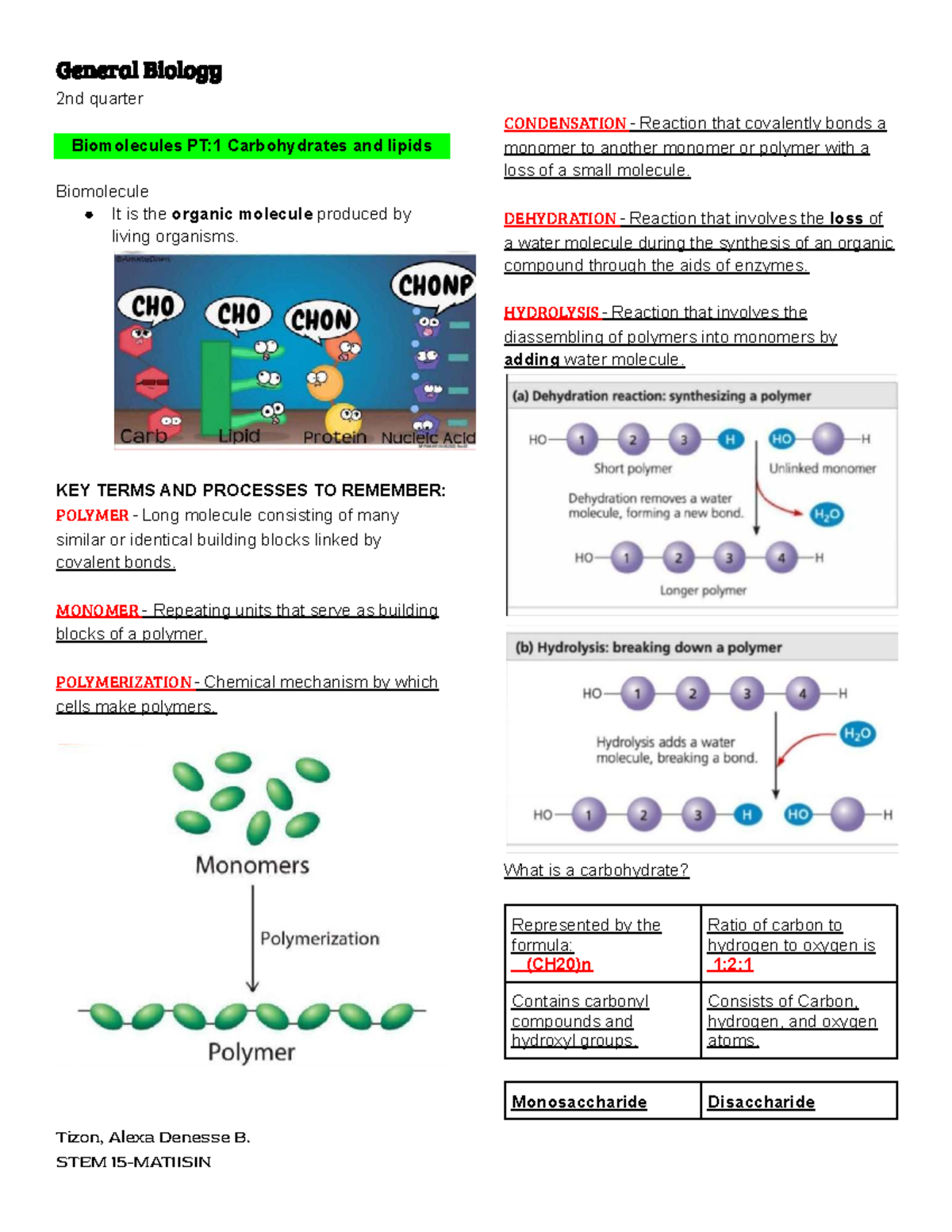 Genbio 2Q - Biomolecules: Carbs, Lipids, & Cellular Respiration Review ...