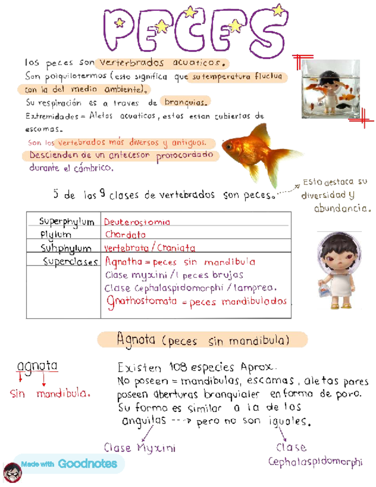 PECES: Vertebrados Acuáticos y su Diversidad (Biología 101) - Studocu