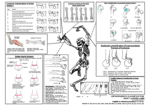 04 0862 01 MS 6RP AFP tcm143-712732 - This document has 10 pages. IB24 ...