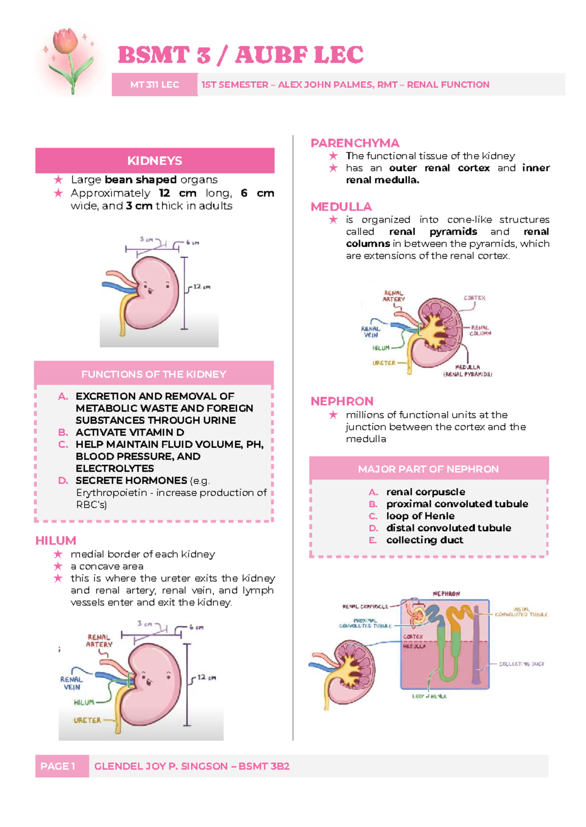 BSMT 3 AUBF LEC MT 311 LEC 1ST SEMESTER RENAL FUNCTION NOTES - Studocu