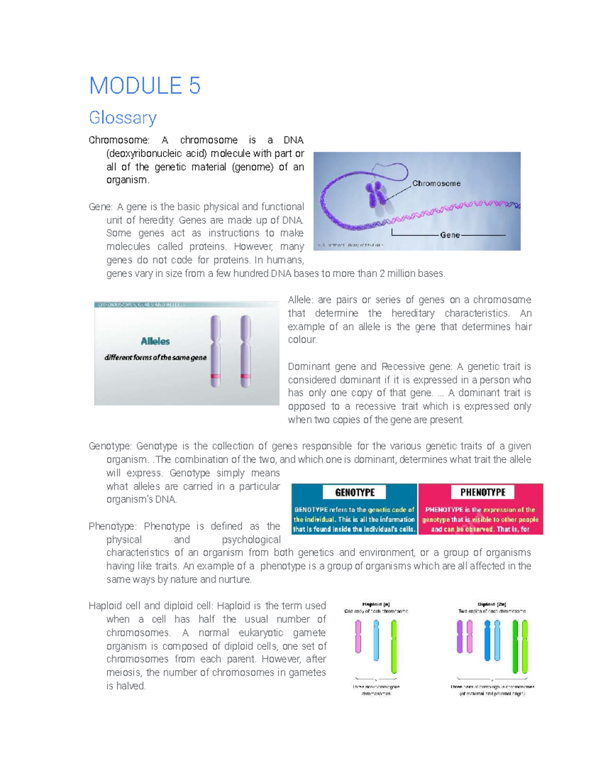 Biology HSC Notes: Module 5 Glossary of Genetic Terms - Studocu