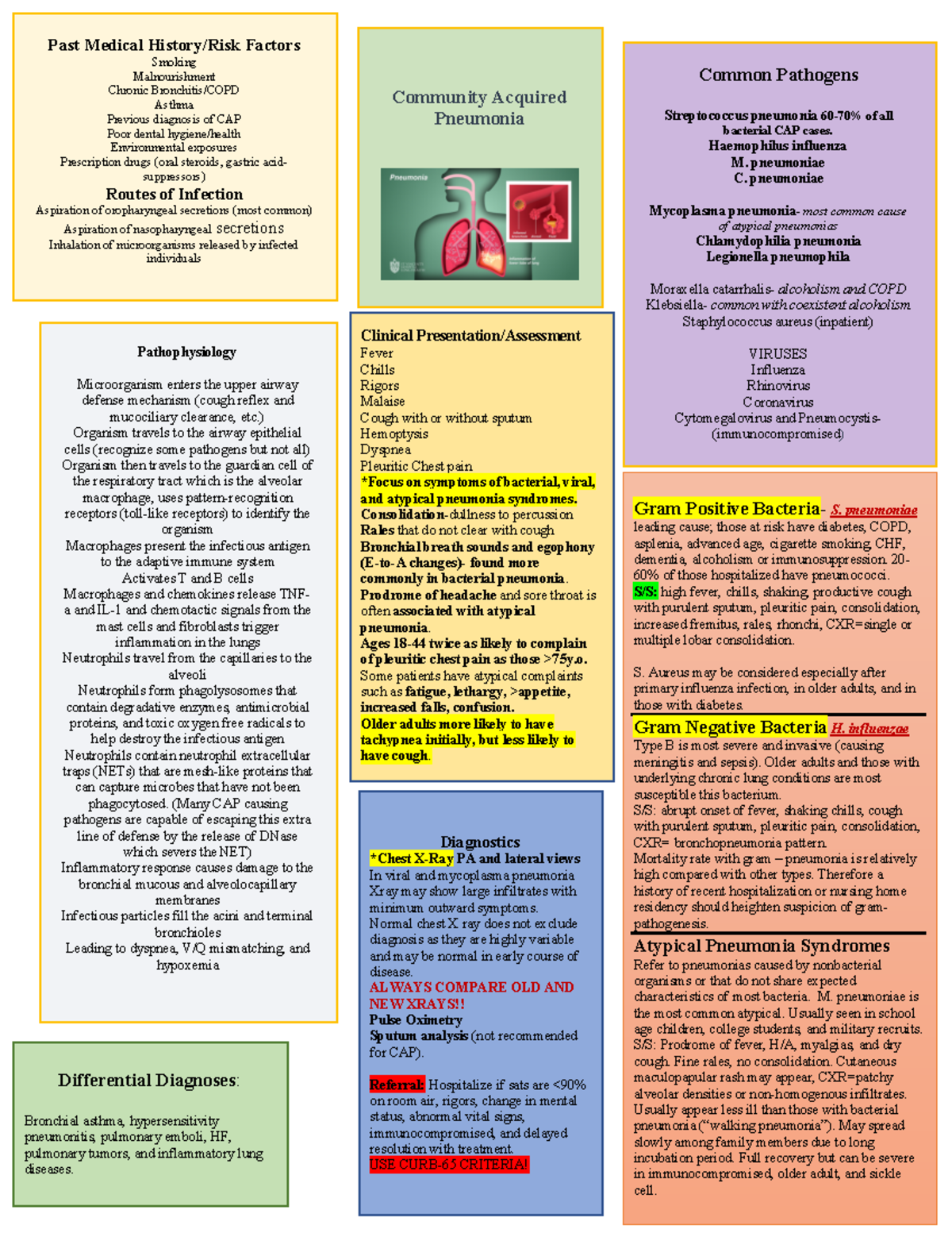 Community Acquired Pneumonia (CAP) Concept Map and Overview - Studocu