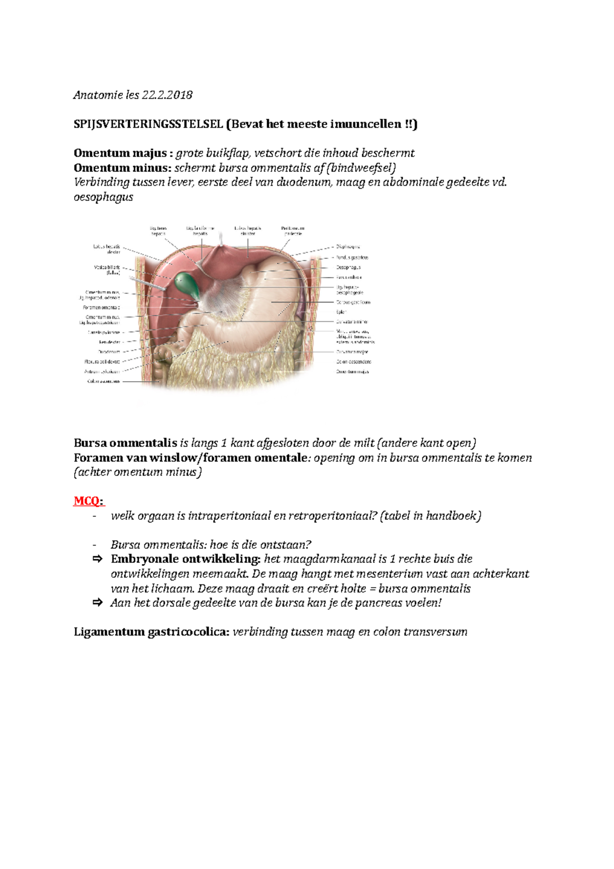 Anatomie van het Spijsverteringsstelsel - Lesnotities 22.2.2018 - Studocu