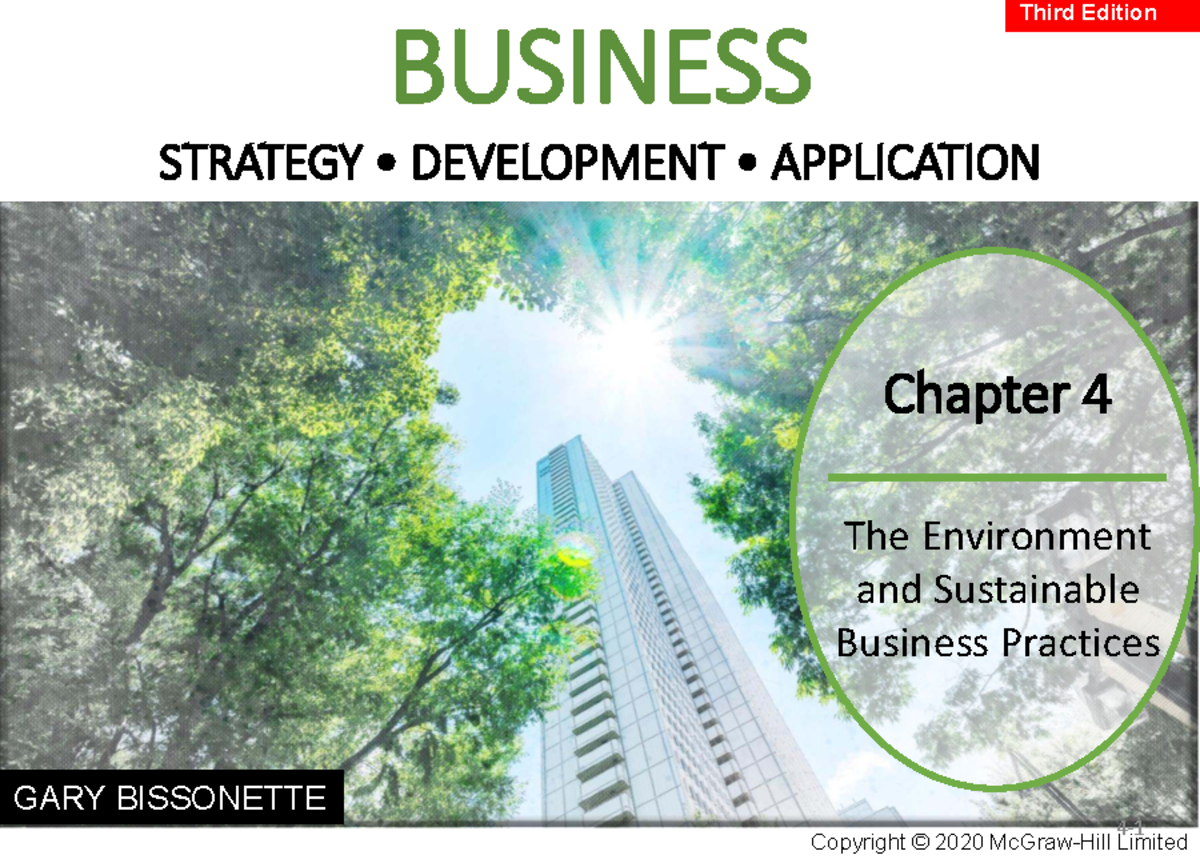 Business strategy development application (BUS 301) chapter 4: The ...