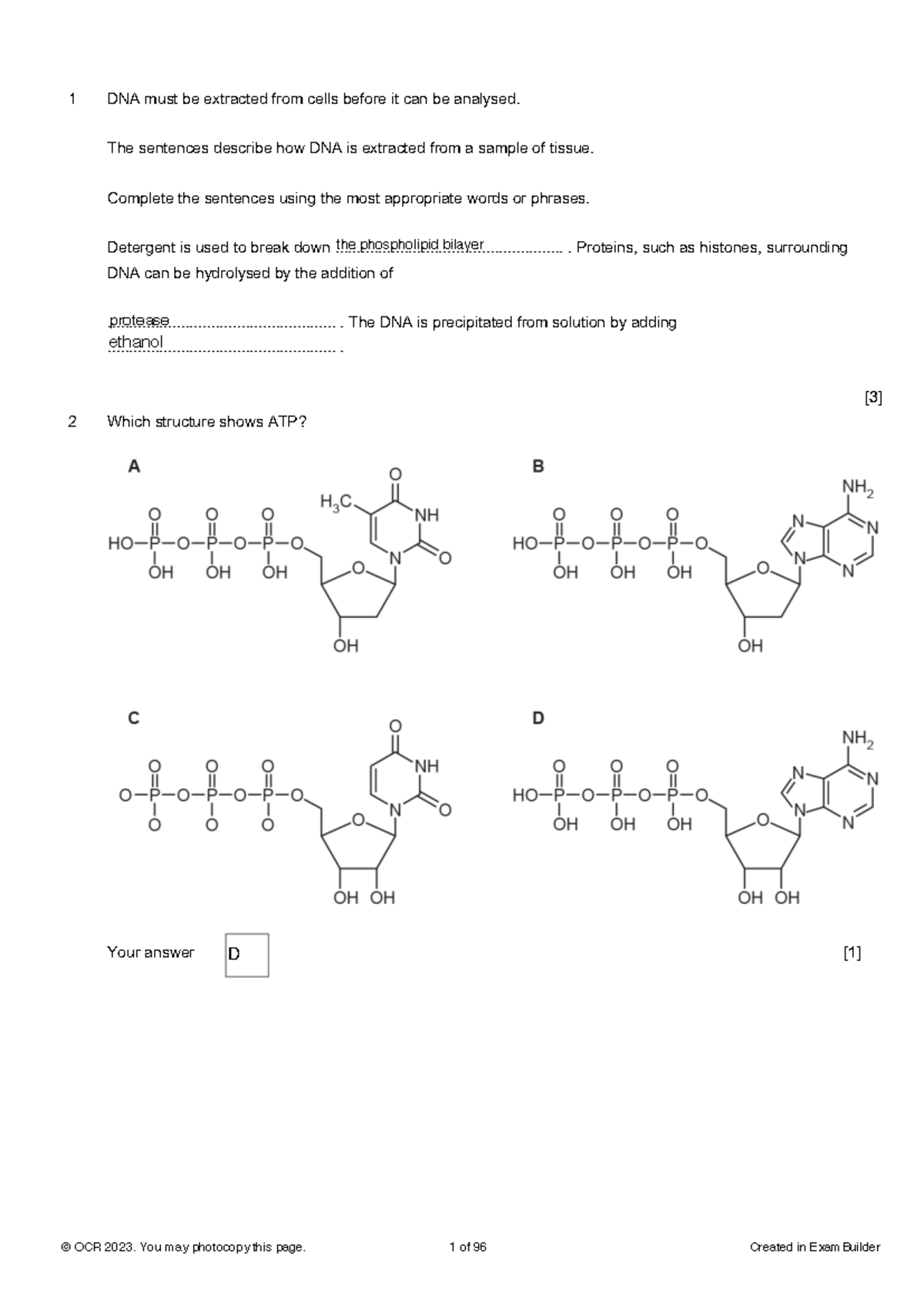 'BIOL 101: Nucleotides and Nucleic Acids Overview' - Studocu