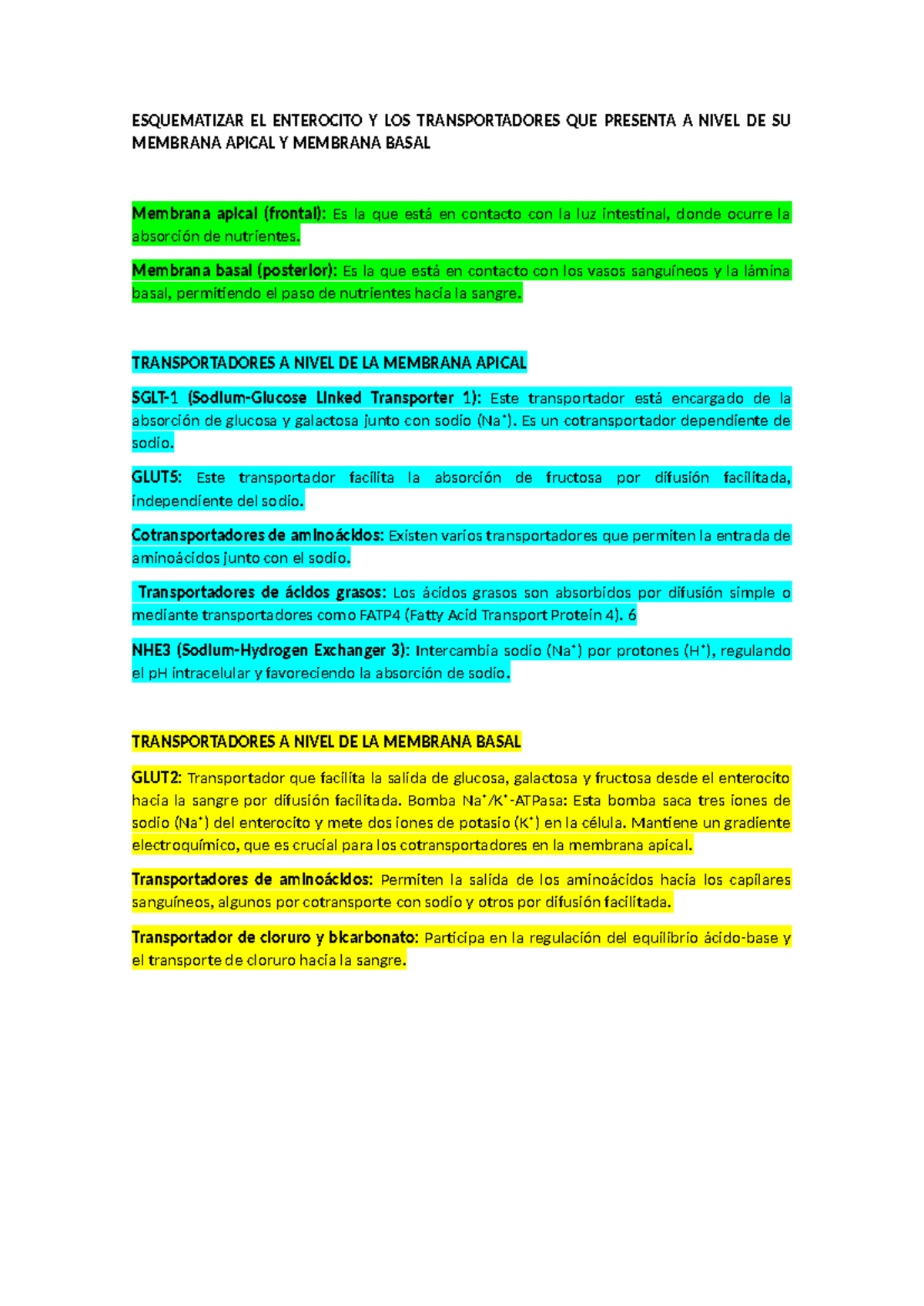 Esquema del enterocito y sus transportadores en membranas apical y ...