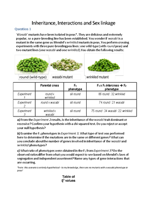 Gege2001 prac ques - round (wild-type) wasabi mutant wrinkled mutant ...