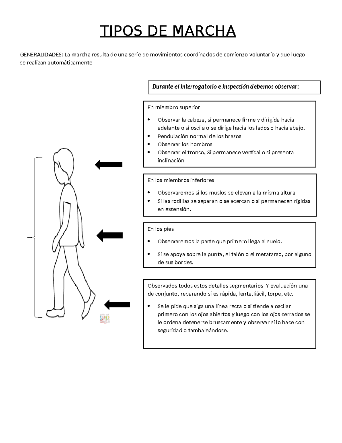 Tipos de Marcha: Clasificación y Evaluación de Movimientos Humanos ...
