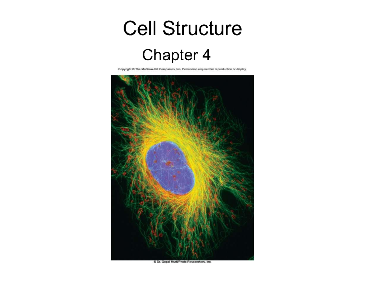 Chapter 4: Cell structure and function in biology - Studocu