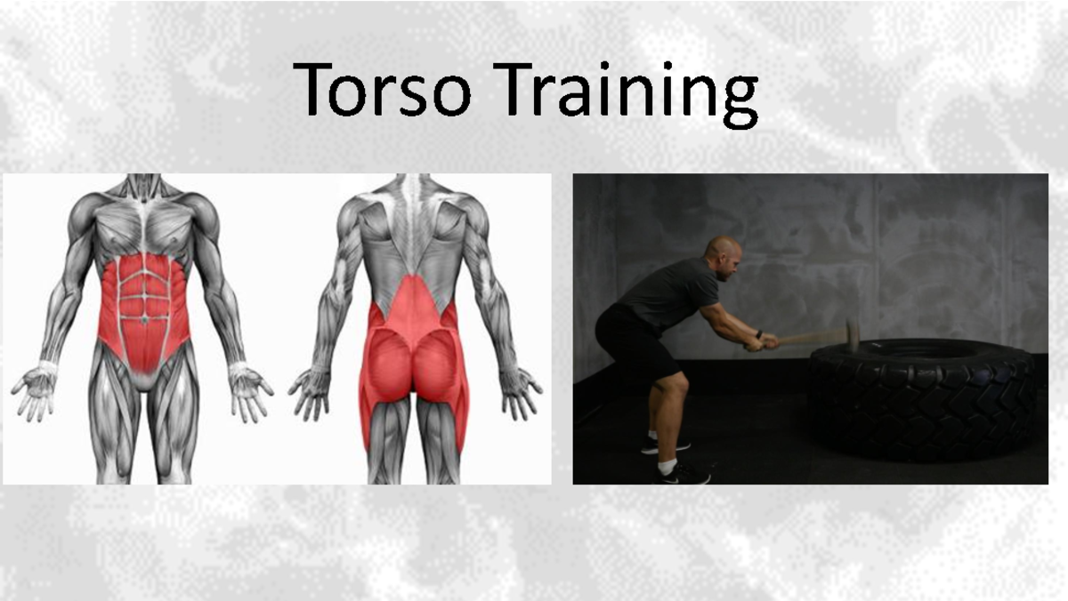 Understanding Torso Stability: Exercises and Categories for Strength ...